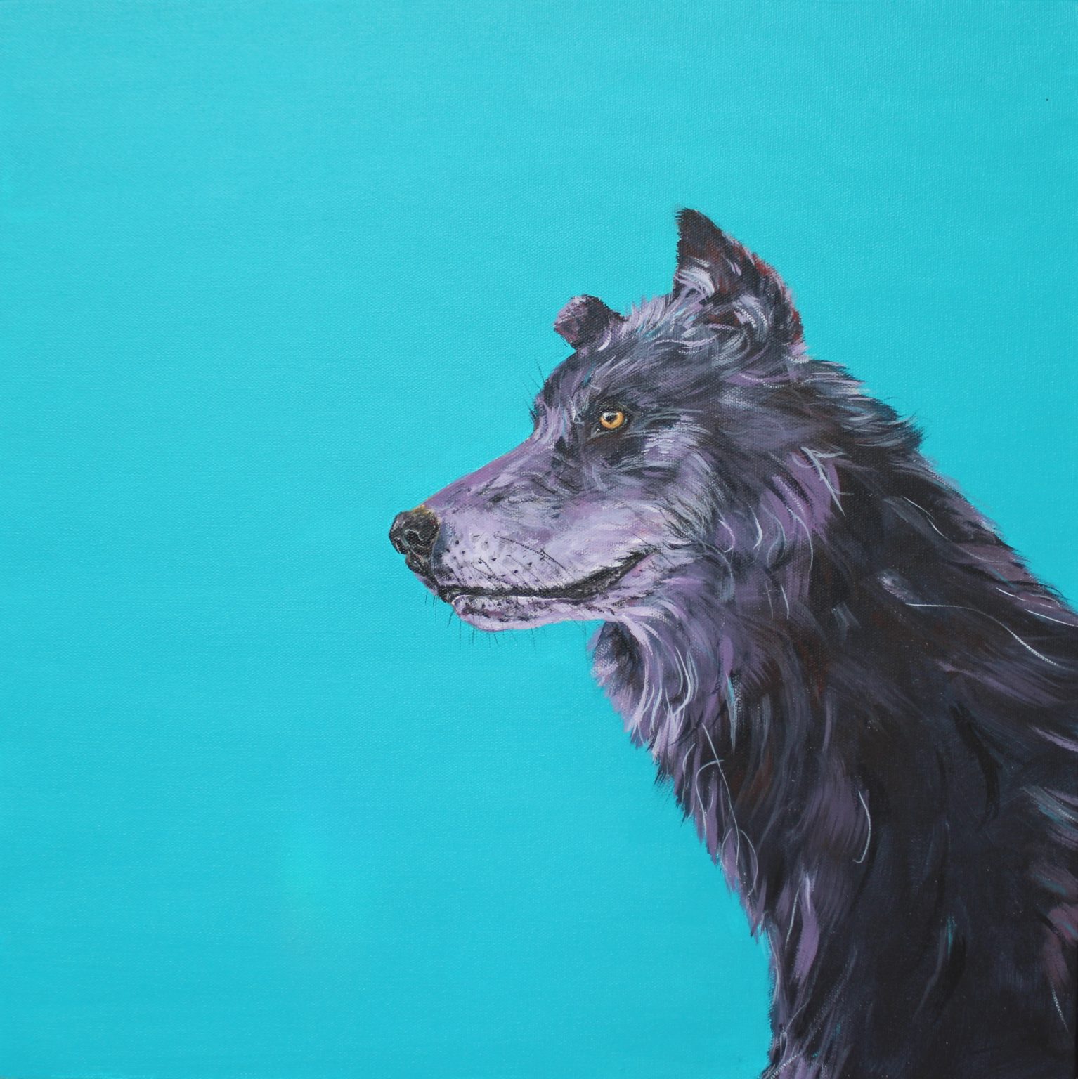 How Lisa Bramhill Captures the Beauty of Wild Life with Colorful Portraits